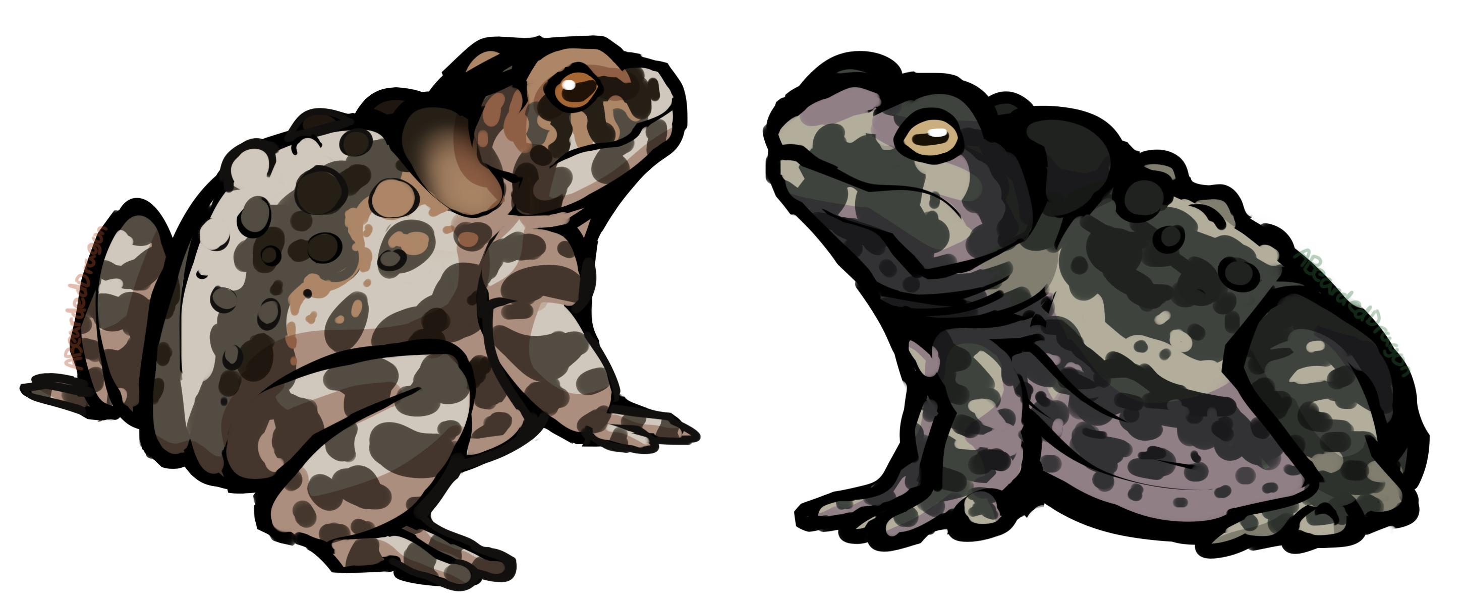 Zoo ARPG - Gallery :: Toad Time